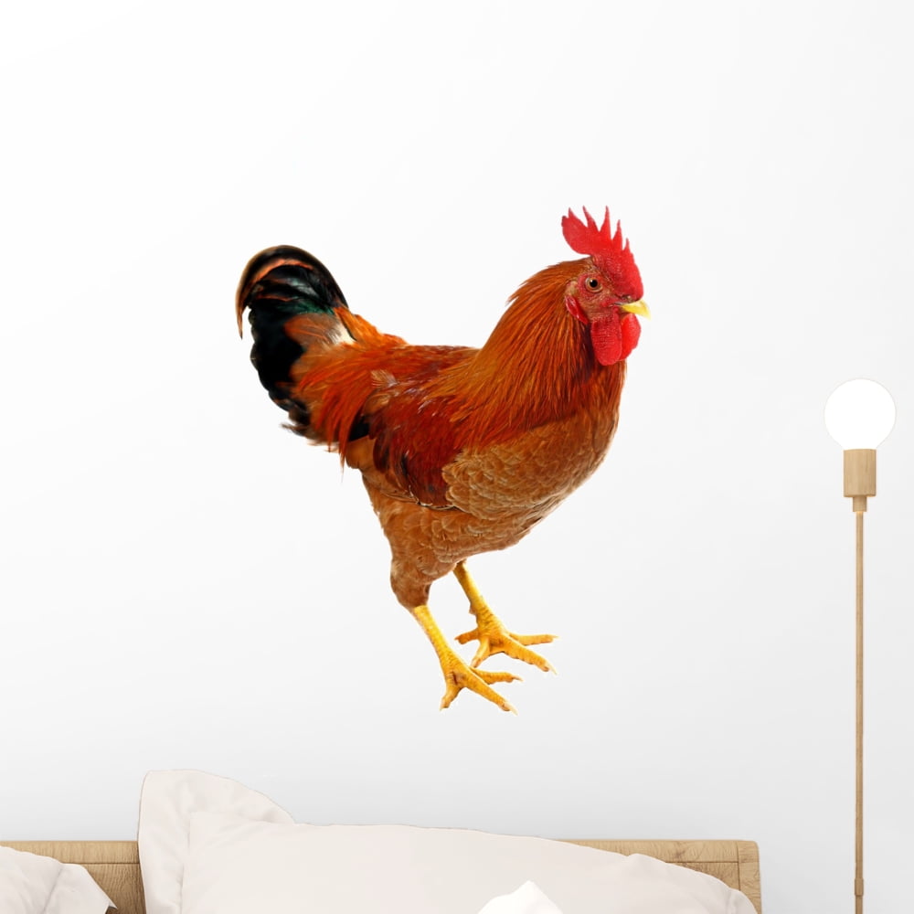 Red Rooster Wall Decal Sticker, Wallmonkeys Peel & Stick Vinyl Graphic ...
