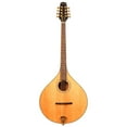 Gold Tone OM-800+ Octave Mandolin Natural - Walmart.com