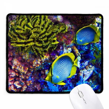 Ocean Colorful Fish Science Nature Picture Mousepad Stitched Edge Mat ...