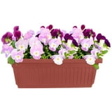 HC Companies 30 Inch Fluted Plastic Venetian Garden Flower Window Box ...