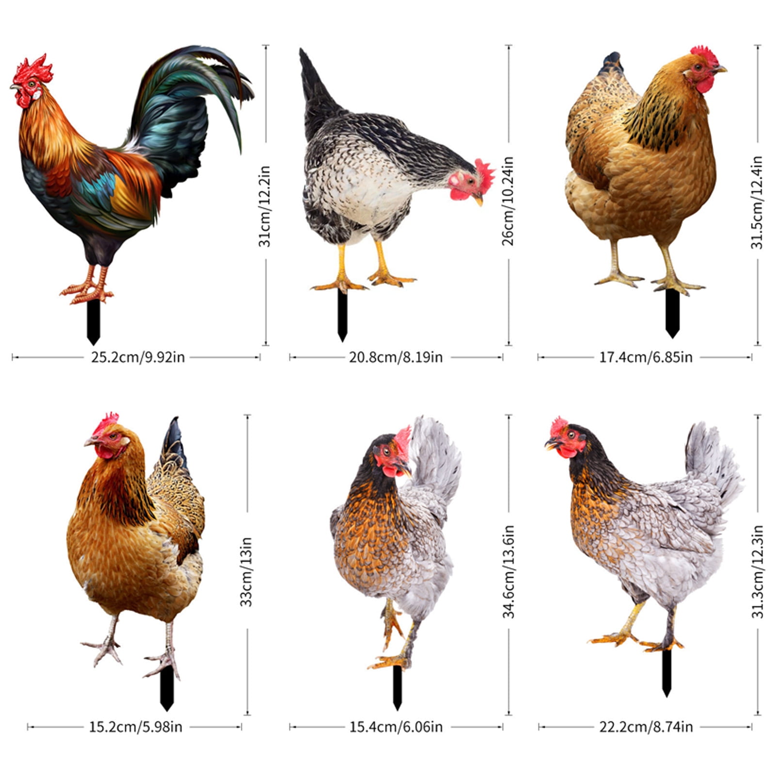 Rooster Breeds Chart