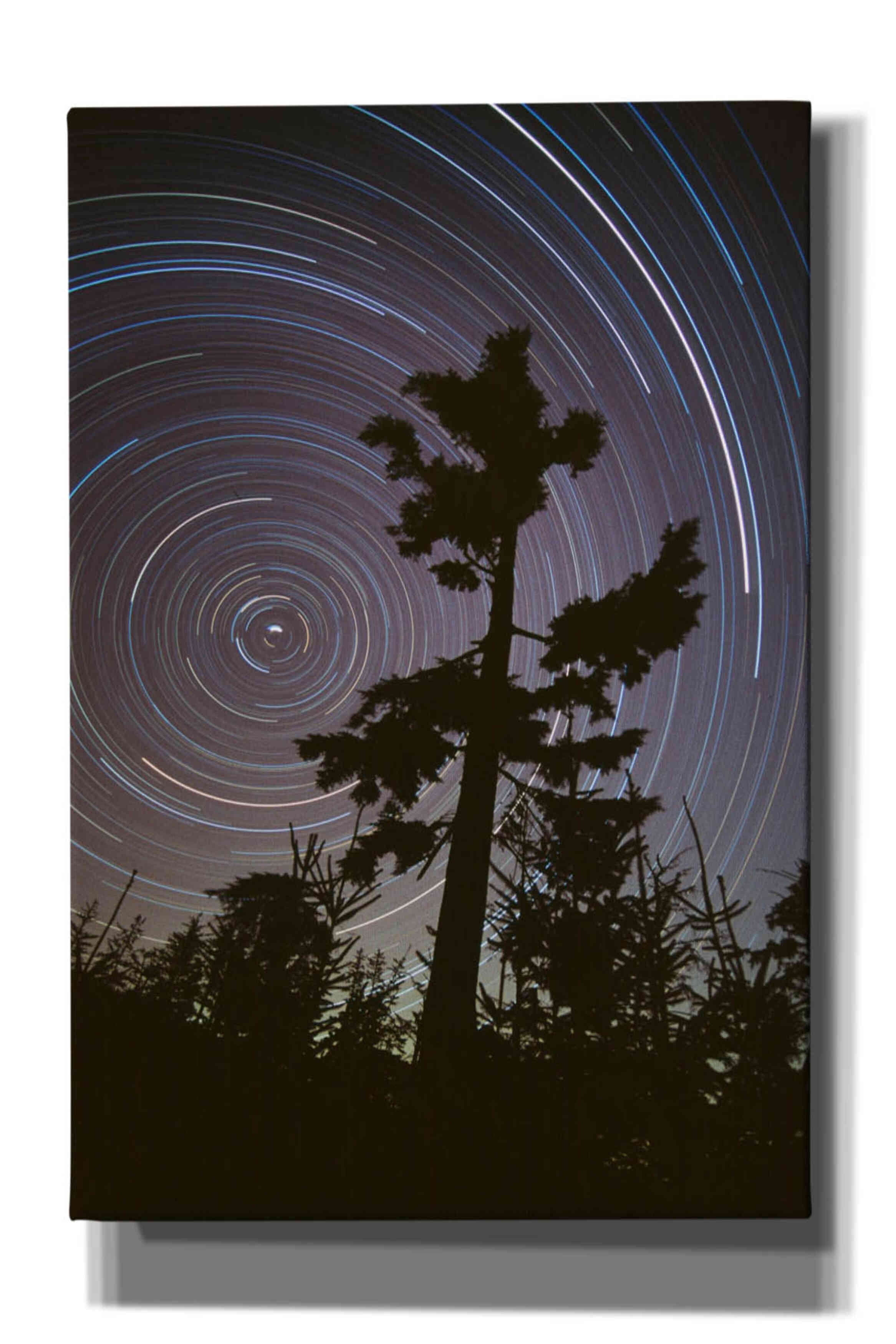 Epic Graffiti 'Polaris Pine' by Thomas Haney, Giclee Canvas Wall Art ...