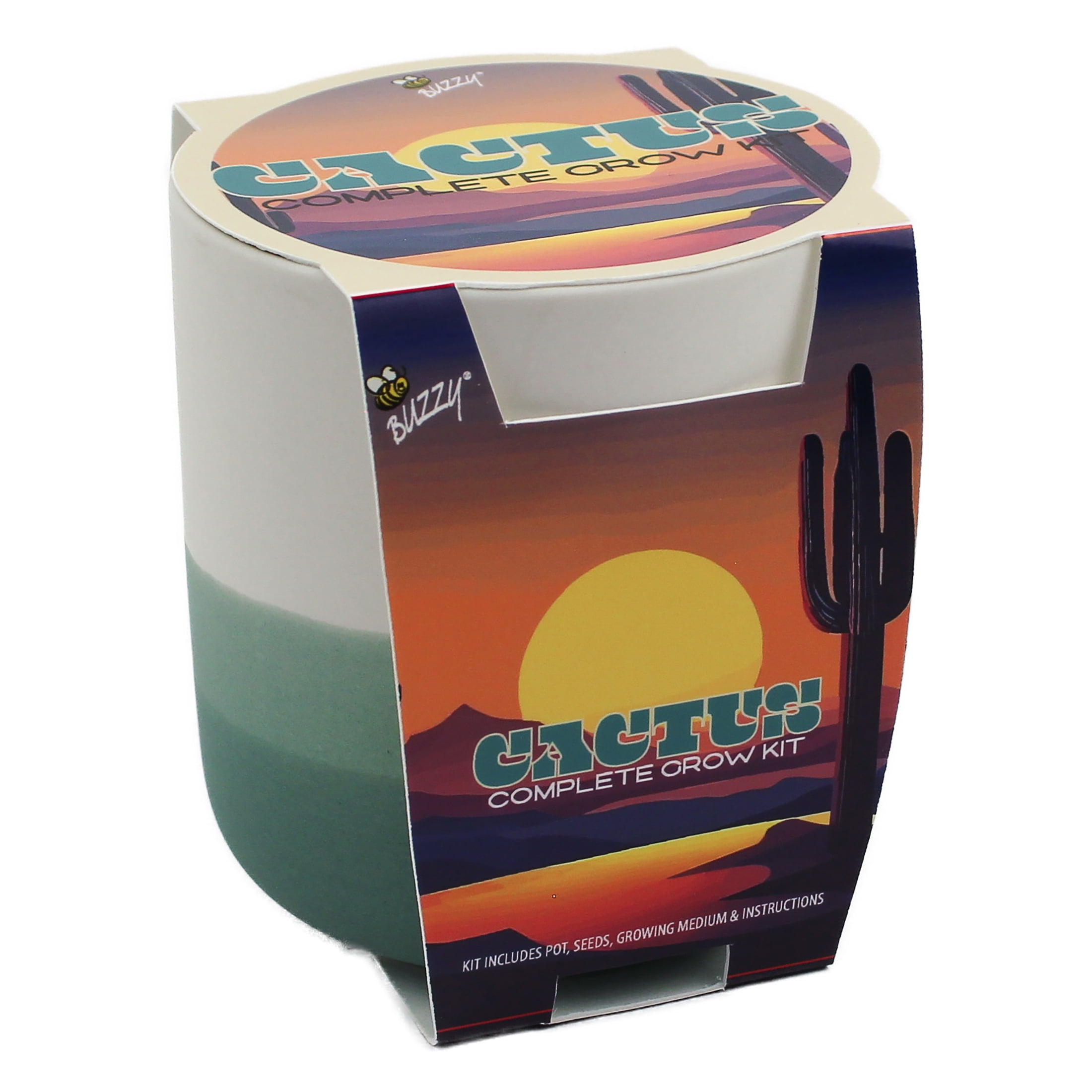 Buzzy Ombre Ceramic Desert Cactus Succulent Grow Kit India | Ubuy