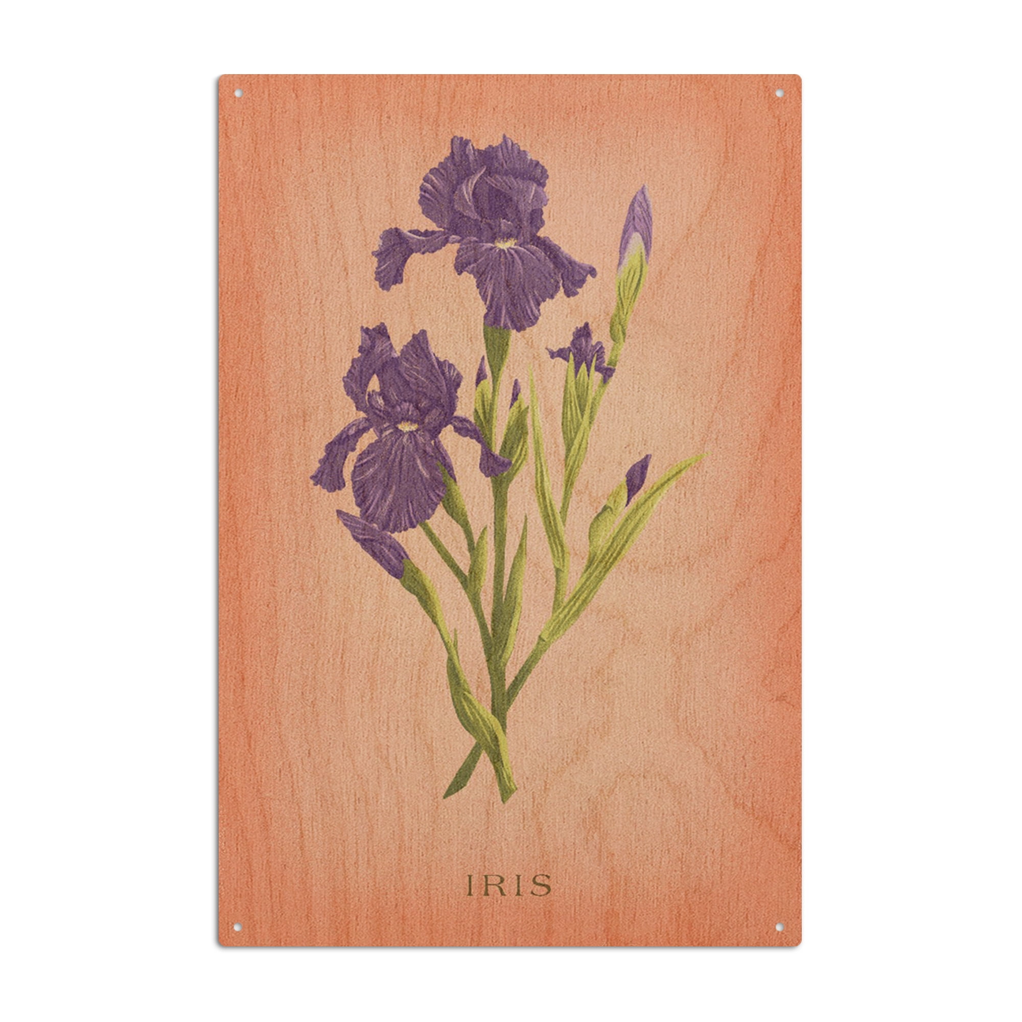 Vintage Flora, Iris Birch Wood Wall Sign (6x9 Rustic Home Decor, Ready ...