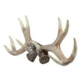 Ebros Rustic Hunter's 10 Point Stag Deer Antlers Rack Wall Plaque 17 ...