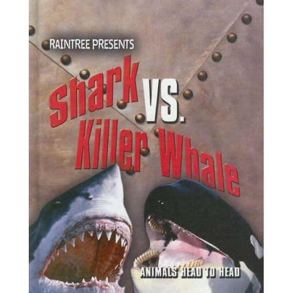 Great White Shark Vs Killer Whale Who Would Win