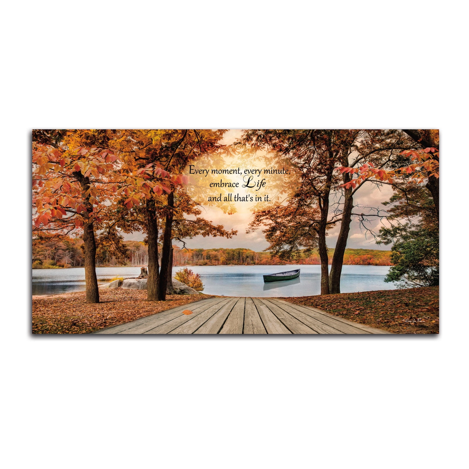 Gango Home Decor Contemporary Embrace Life by Robin-Lee Vieira (Printed ...