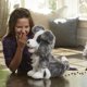 furReal Ricky, the Trick-Lovin' Interactive Plush Pet Toy - Walmart.com