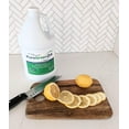 Pure Green 24 - Disinfecting Sanitizing Spray Cleaner, Household ...
