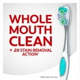 Colgate Total Whitening Toothbrush, Soft, 8 Ct - Walmart.com