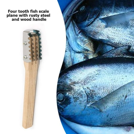 Yilovego Stainless Steel Fish Scraping Scale Shaver Fish Scraper with ...
