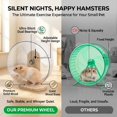 AOOOWER Low Noise Small Animal Exercise Wheel Stable Wood Base Clear ...