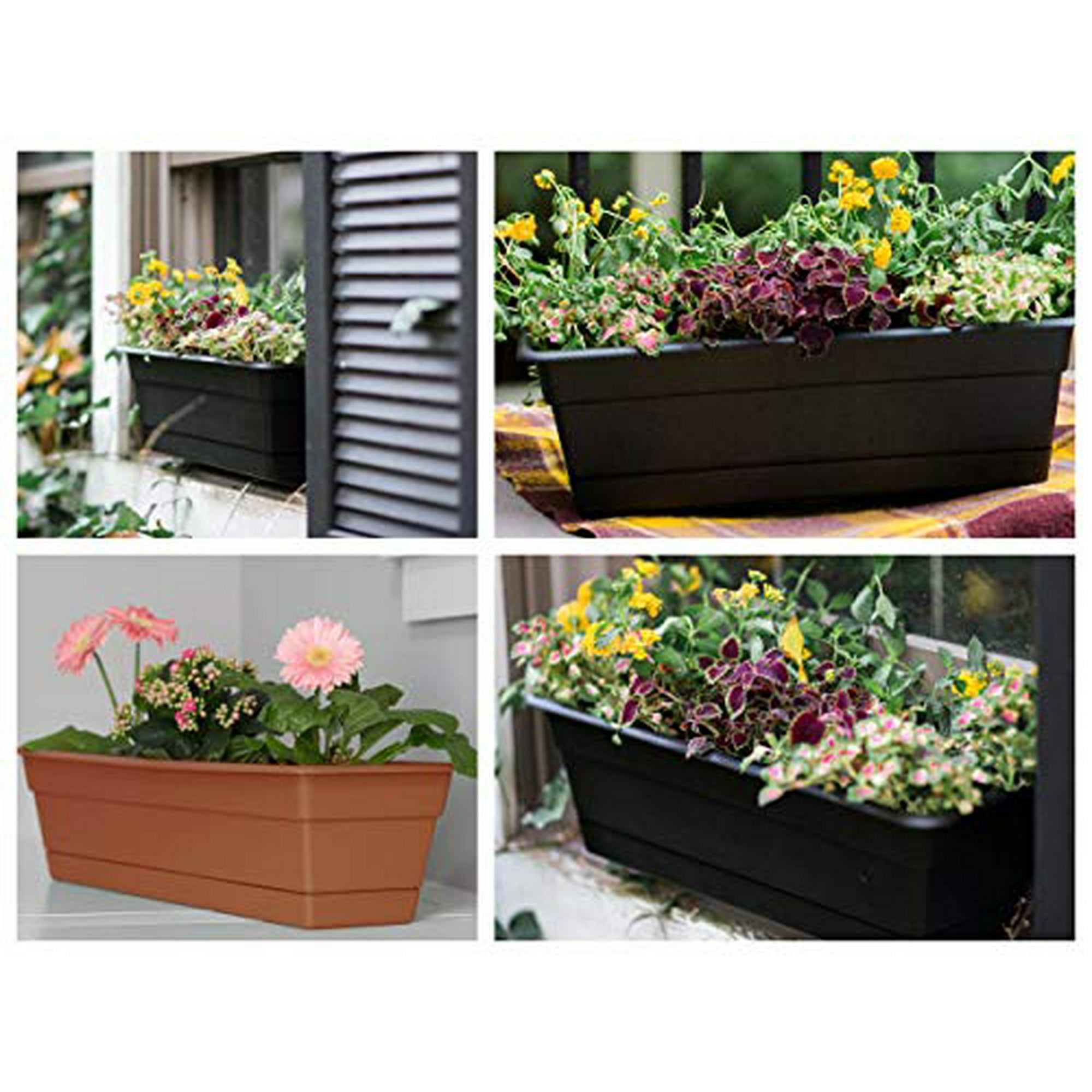 Dura Cotta Flower Box Bloem Dura Cotta 30-Inch Window Box Planter ...