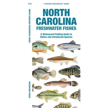 The Practical Guide to Fishing : An Illustrated Manual for Freshwater ...