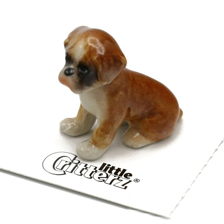 Miniature Boxer Puppies