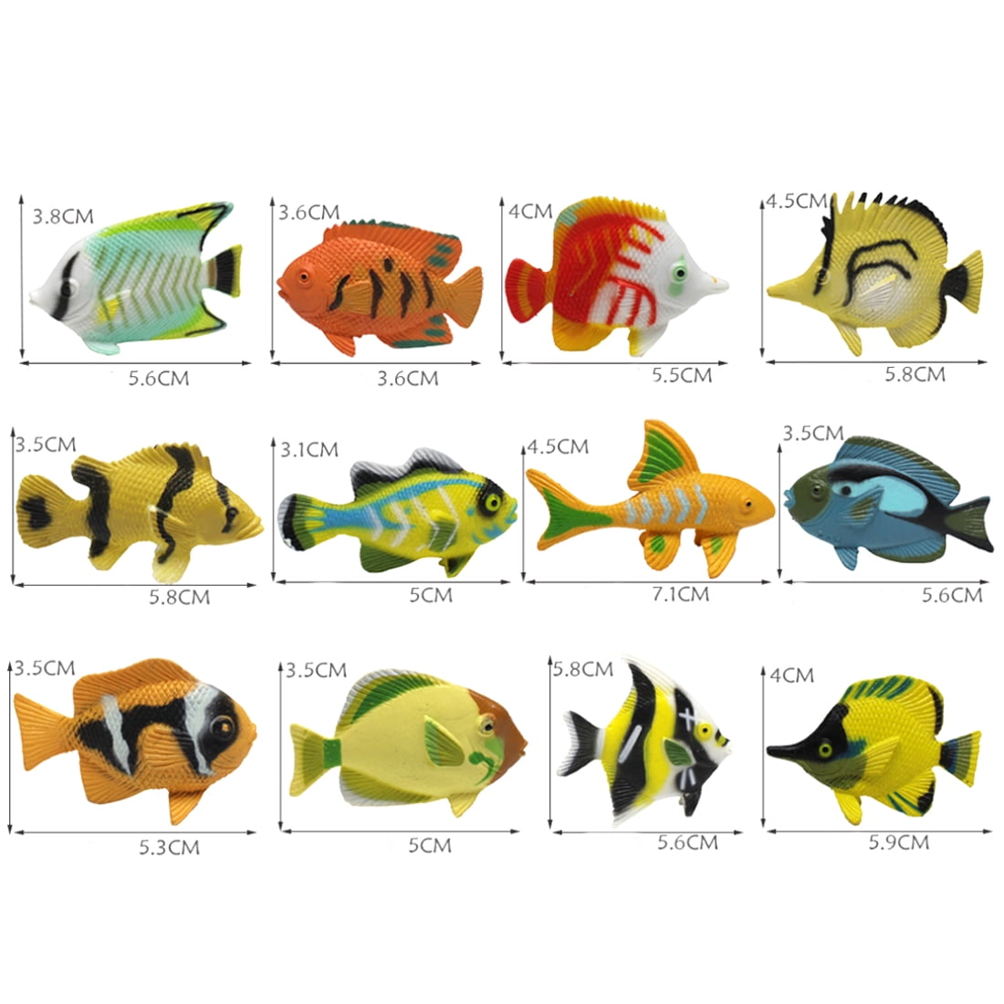 Different Kinds Of Tropical Fish