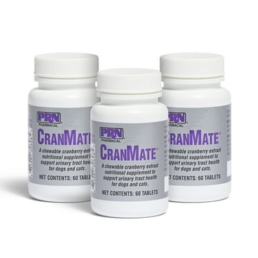 Dasuquin MSM Joint Care Chewable Tablets for Large Dogs, Pet Health ...