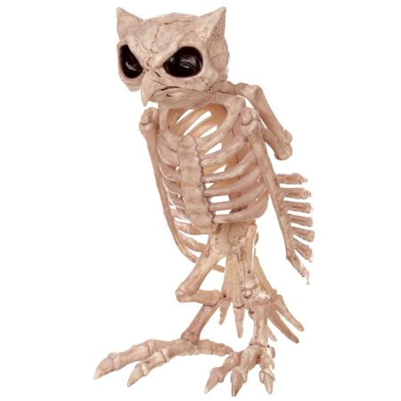 Click here for Seasons Usa Skeleton Owl One Size prices