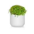 Urbio by Honey Can Do Magnetic Wall Organizer, White - Walmart.com