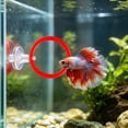 Ailezt 1pcs Bettas Fish Enrichment Toys Ring,Bio Filter Balls Betas ...