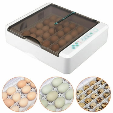 Free Shipping! Adnoom Egg Incubator, Incubating 16-35 Eggs, with ...