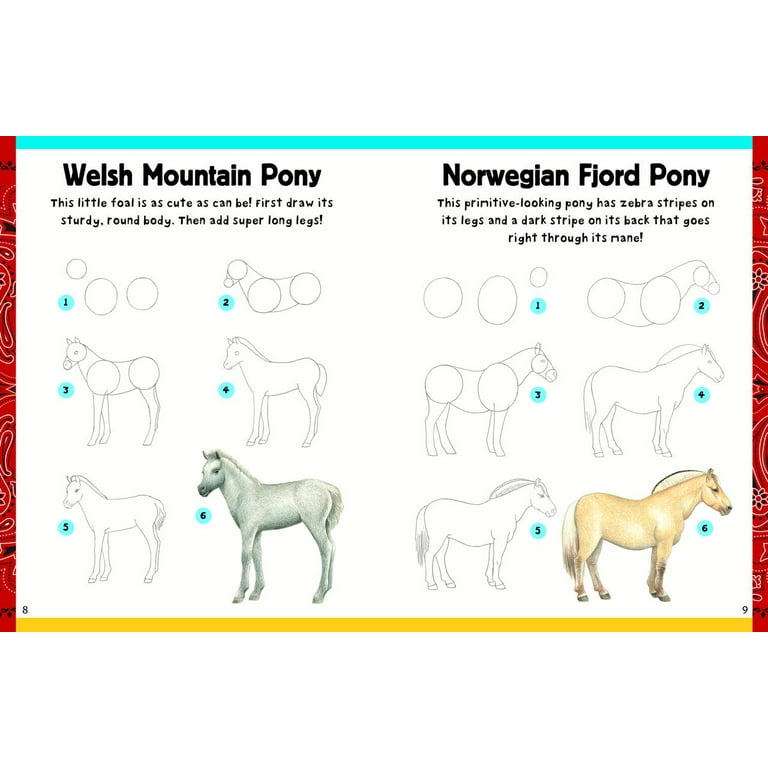 How To Draw A Pony Step By Step