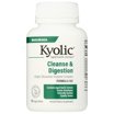 Kyolic Aged Garlic Extract Formula 102 Candida Cleanse & Digestion, 100 ...