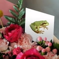 3drose, Cute European Green Tree Frog Cut Out, 6 Greeting Cards with ...