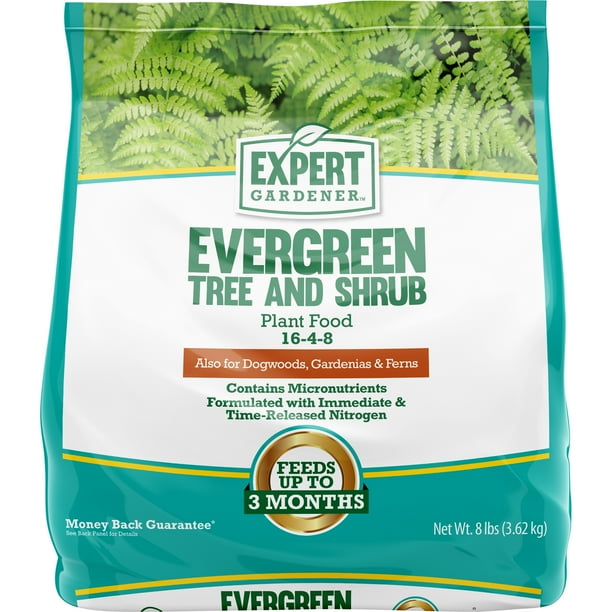 Expert Gardener Evergreen Tree & Shrub Plant Food Fertilizer 16-4-8, 8 ...