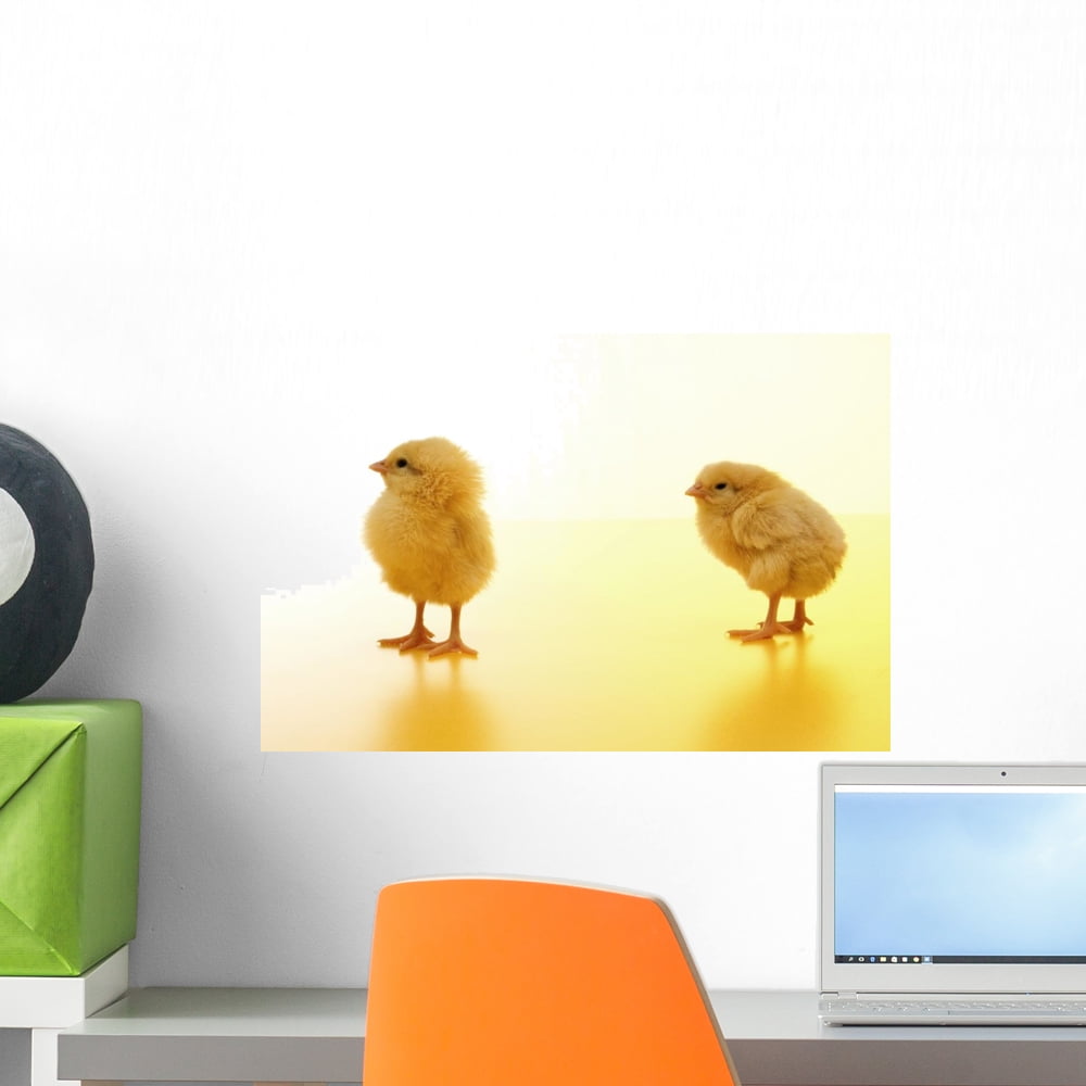 Chicken Wall Mural by Wallmonkeys Peel and Stick Graphic (18 in W x 12 ...