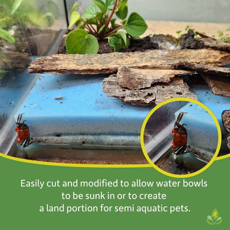 Frog Foam Terrarium Liner (12x12 Glass Terrarium With Lid 120 Gallon ...