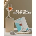 Stemmed Wine Glass Chiller | Made in USA | Radically cool wine tool ...
