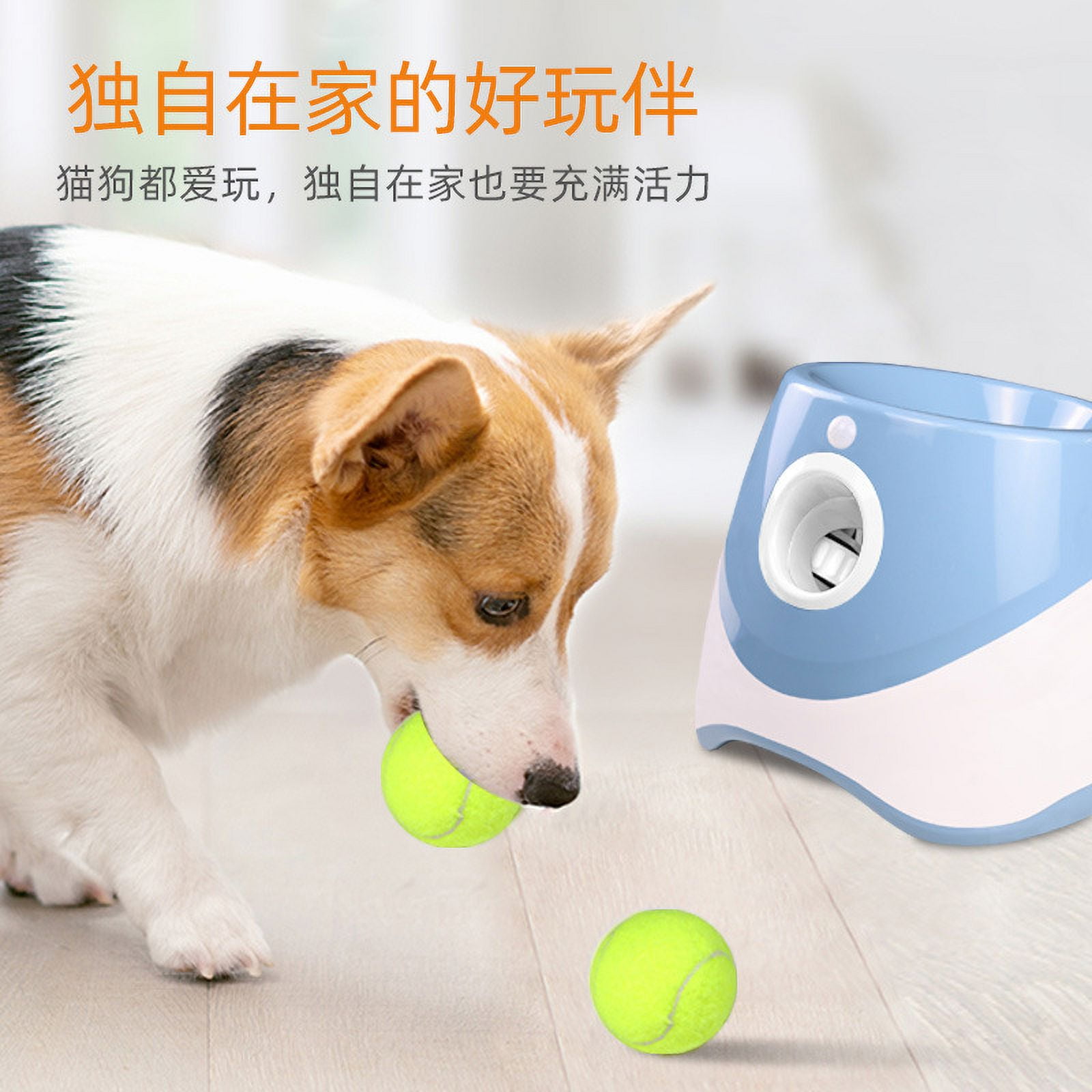 Click here for Unbranded Automatic Dog Ball Launcher For Small To... prices