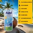 Azul Coconut Water With Pulp, Natural Hydrating Coconut Elixir, (24x16 ...