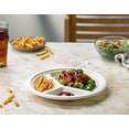 [10 Inch 3 Compartment Compostable Paper Plates - 125 Pack White Heavy ...