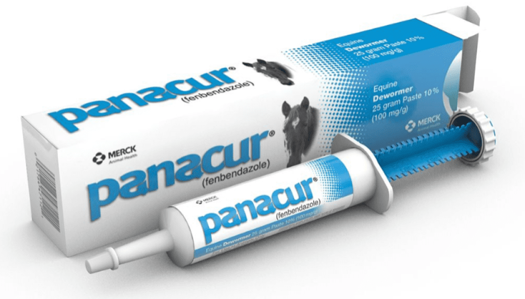 Merck Animal Health 69273 25 g Panacur Equine Dewormer Paste - Walmart.com