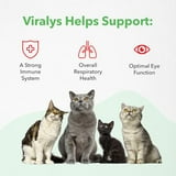 Vetoquinol Viralys L-Lysine Immune System Supplement Gel for Cats ...