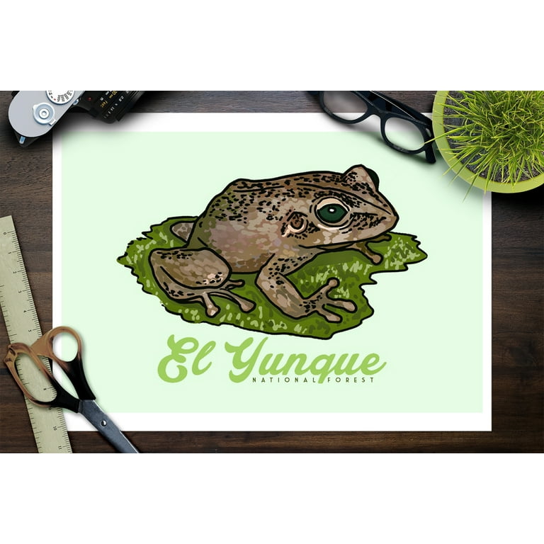 Printable Pictures El Coqui Puerto Rico