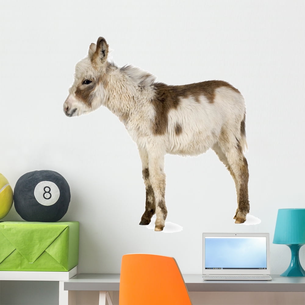 Young Donkey Wall Decal Sticker by Wallmonkeys Vinyl Peel and Stick ...