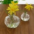 Btomtd 2pcs Transparent Glass Hydroponic Vases with Frame, Modern Vase ...
