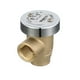 Watts 288A Anti-Siphon Vacuum Breaker 1/2 In., Brass, Lead Free ...
