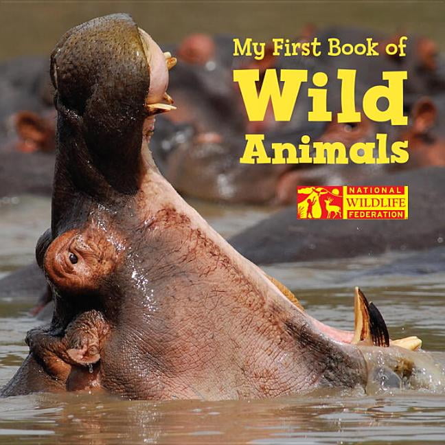 My 1st Book of Wild Animals (Board Book) - Walmart.com