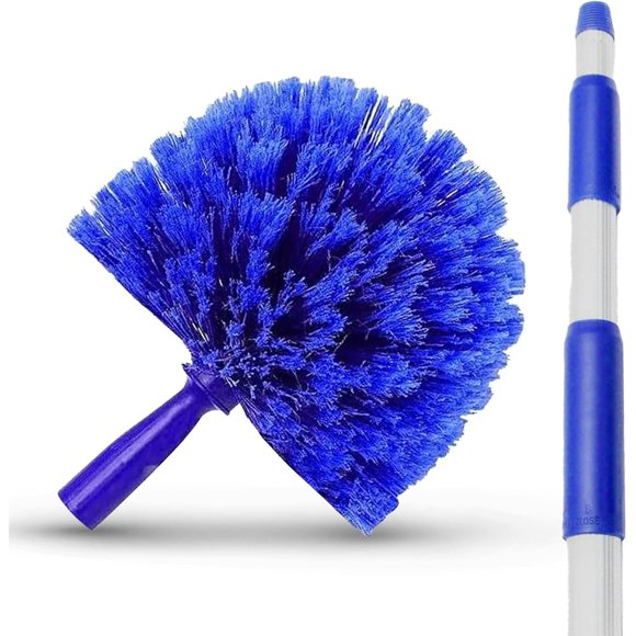 Webster Brush