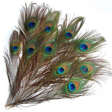 Creativity Street Quill Feathers Assorted Colors 12" 24/Pack 3 Packs ...