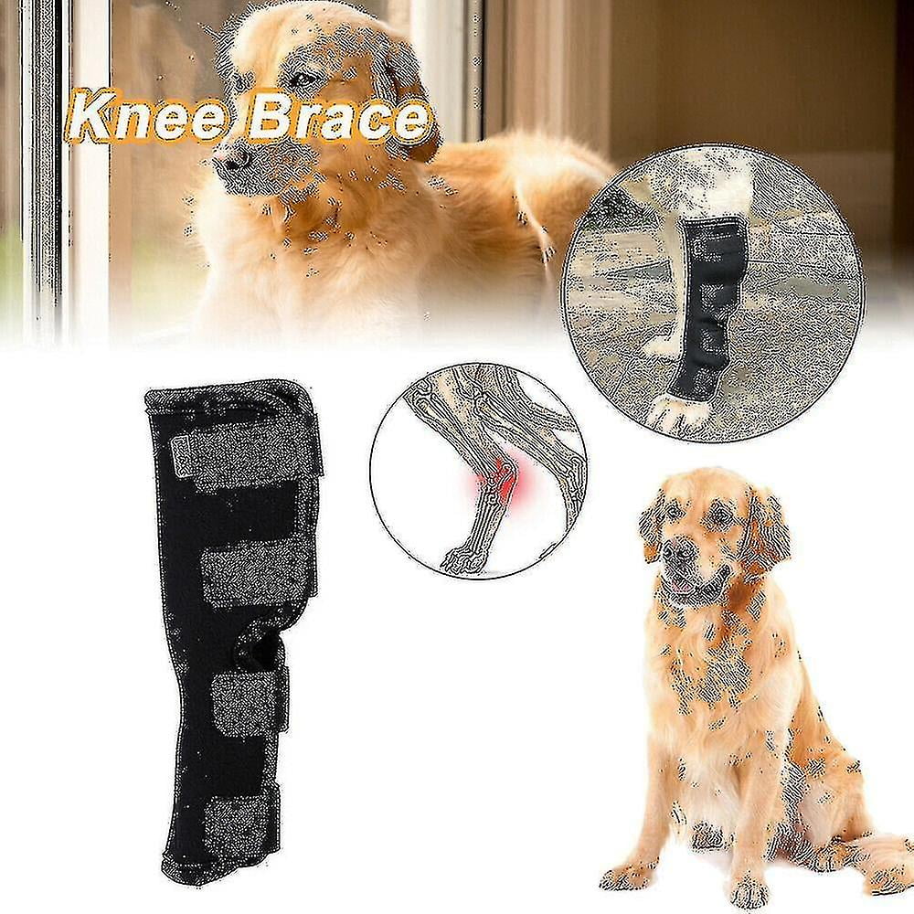 Férula para patas de perro, envoltura protectora para la articulación ...