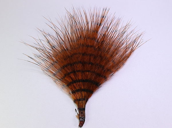 MFC Mini Barred Marabou - 3'''' - 5'''' | Burnt Orange/Barred Black ...