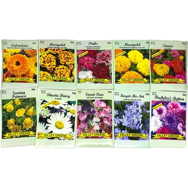 Set of 25 Deluxe Variety Flower Seed Packets 10 Varieties - Walmart.com