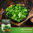 5 Packs Corn Salad Verte De Cambrai Seeds - Lamb's Lettuce Mache - Non ...