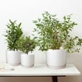 Antar Collection Matt White Ceramic Flower Pots Set of 3 for Indoor and ...