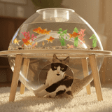 WAOWAO 2-in-1 Cat House & Fish Tank with Viewing Window - Solid Wood ...